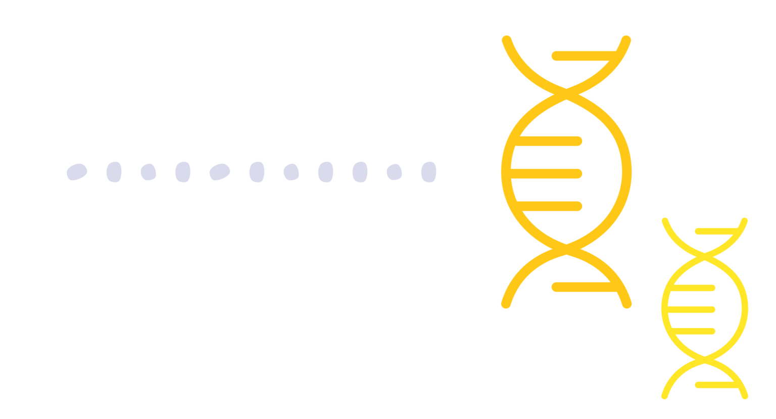 Simons Searchlight | NEXMIF-Related Syndrome